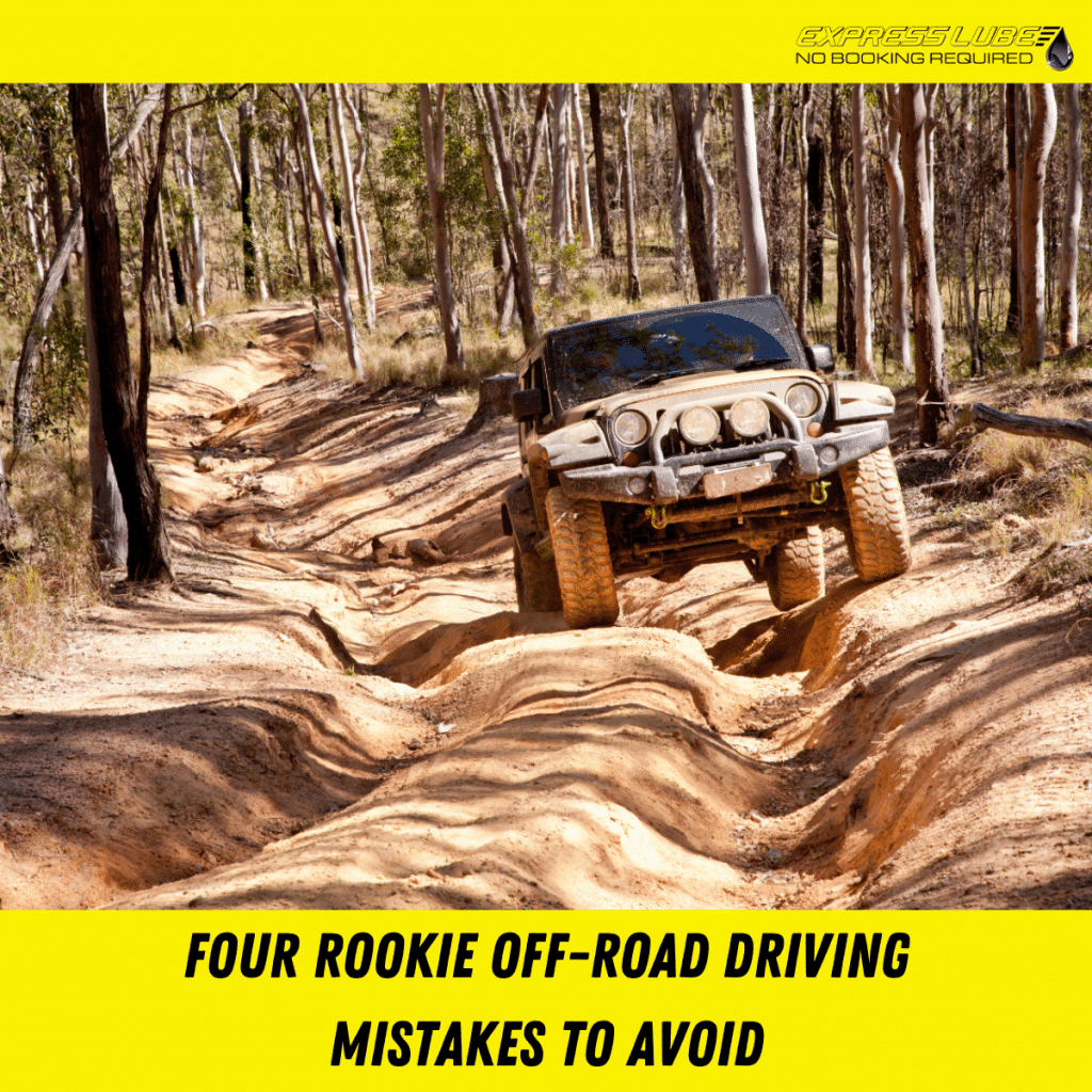 Going off road driving this summer? Four rookie 4WD mistakes to avoid ...